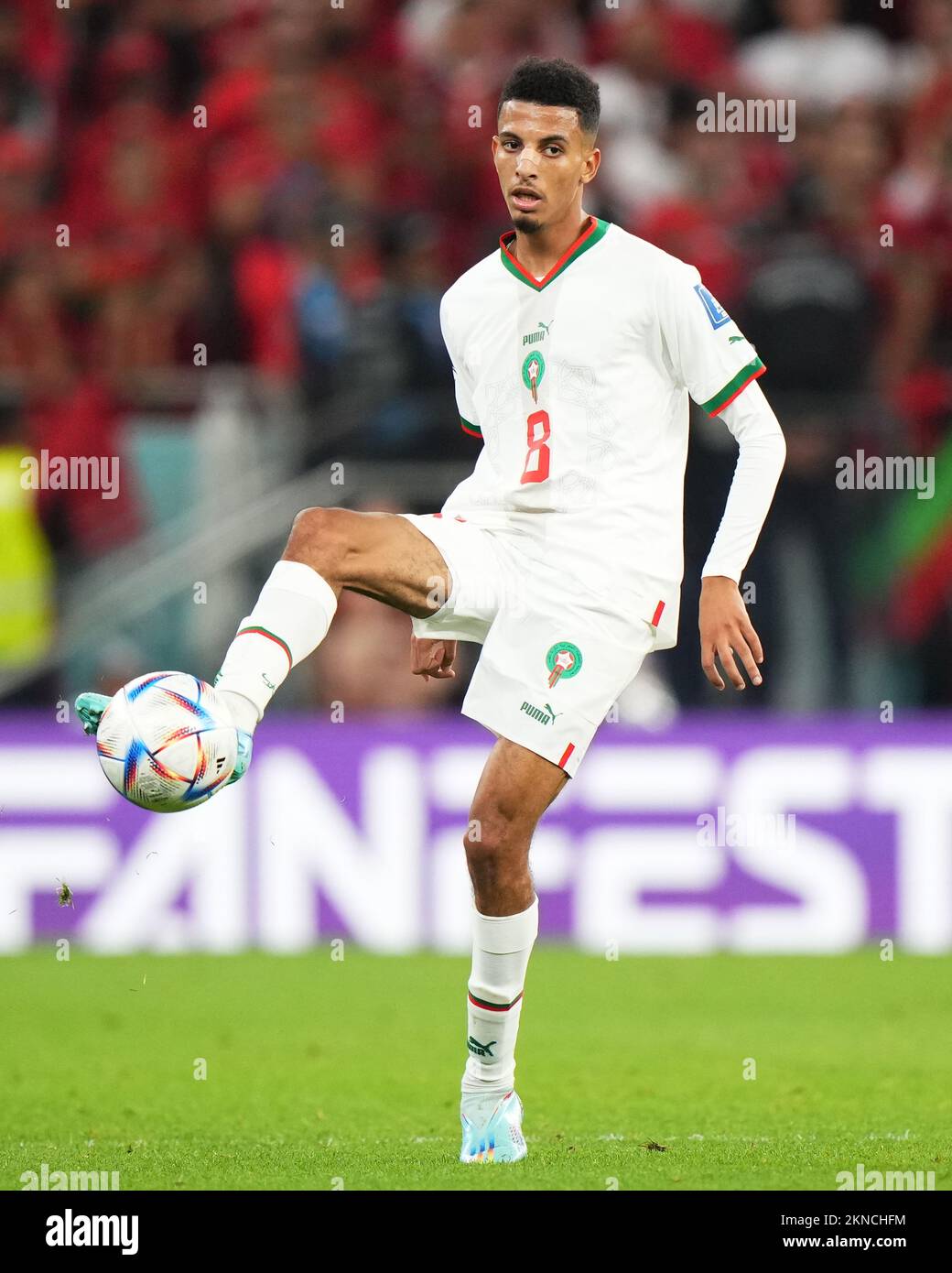 Doha, Qatar. 27th Nov, 2022. Azzedine Ounahi of Morocco during the FIFA ...