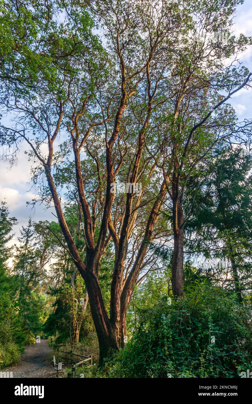 Long and tall hi-res stock photography and images - Alamy