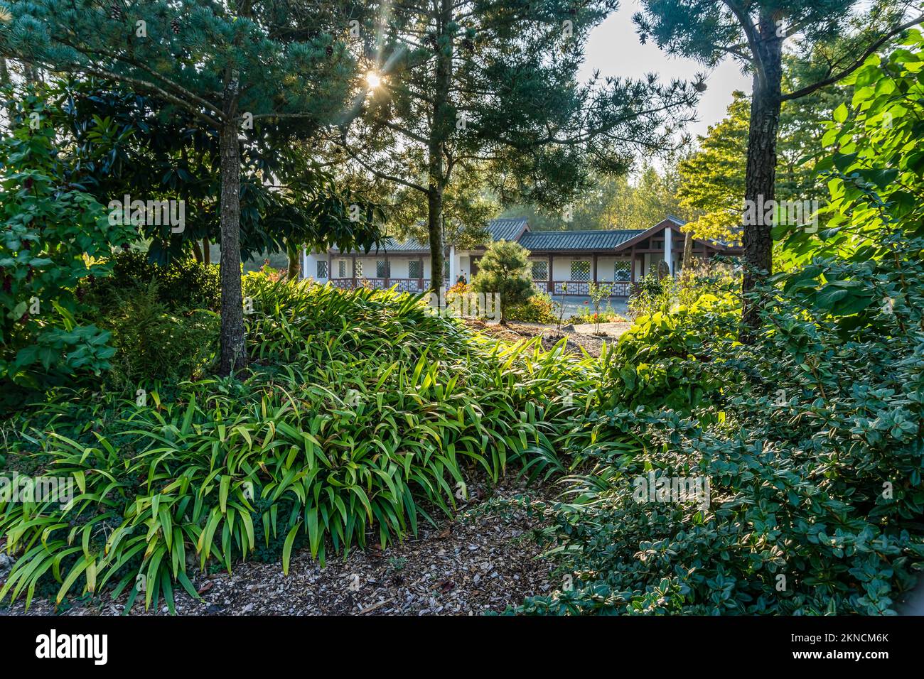 Plants and Chinese Temple in South Seattle, Washington Stock Photo - Alamy