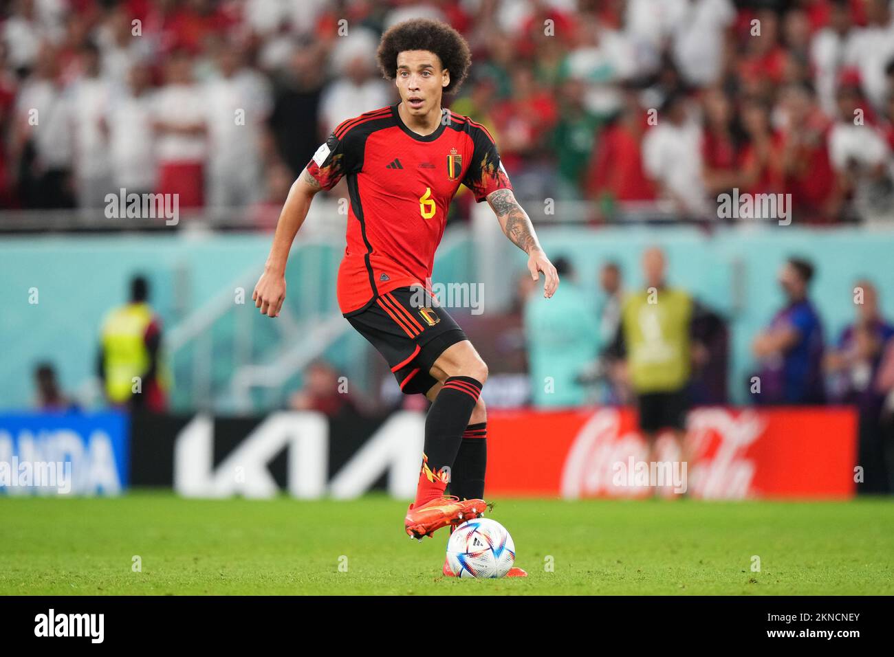 Axel Witsel of Belgium during the FIFA World Cup, Qatar. , . in Doha ...