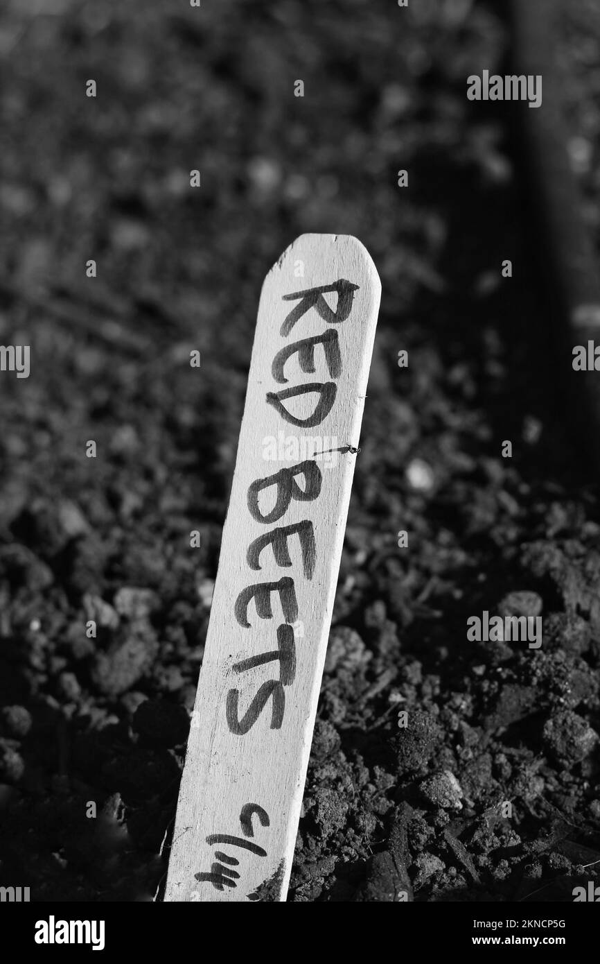 Typical common plastic garden stake with handwritten text in a black ...