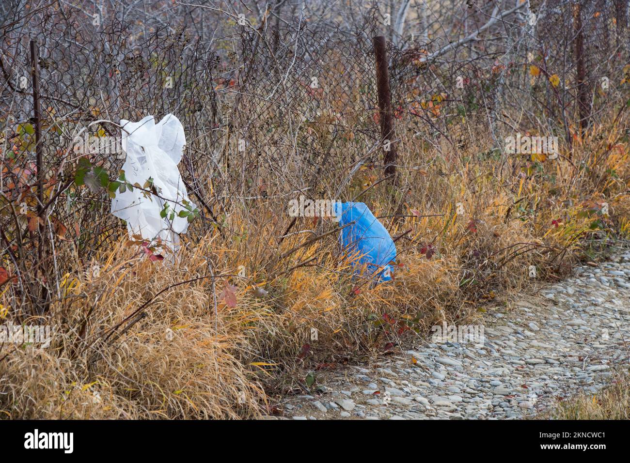 The plastic bags with trash in the grass Stock Photo - Alamy
