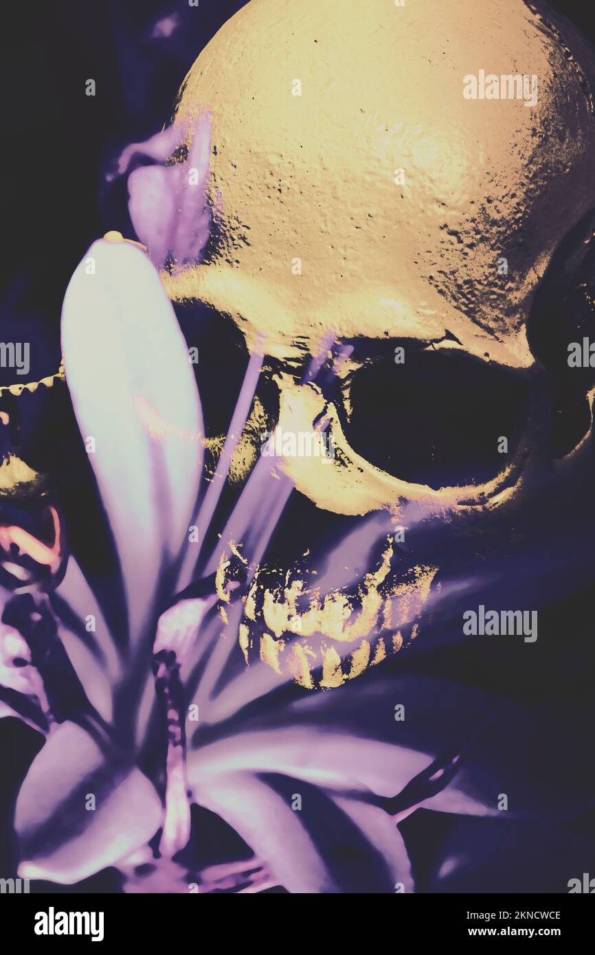 Spooky double exposure on a tale of terror with a sinister death plan ...