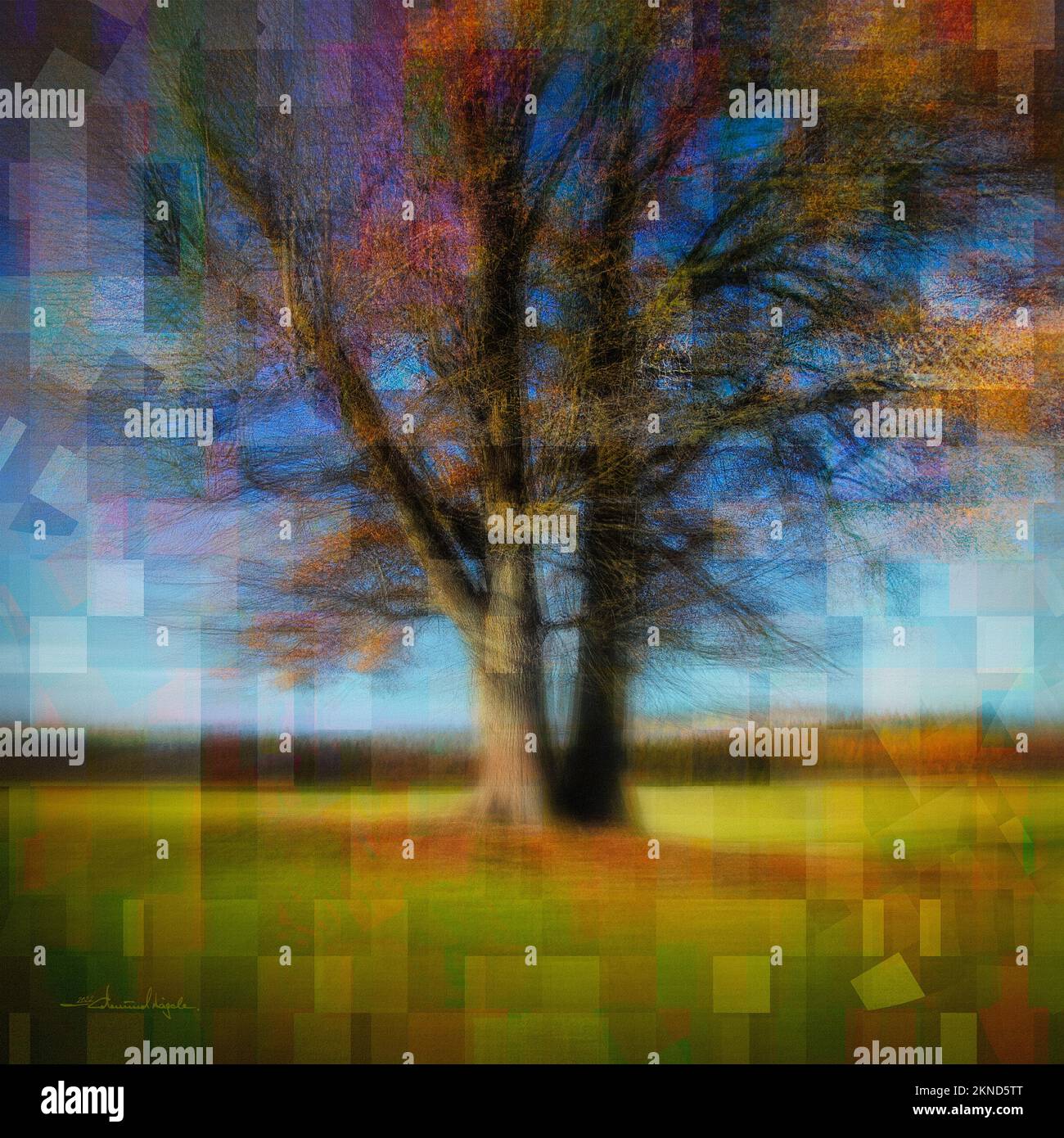 Icm photograph hi-res stock photography and images - Alamy