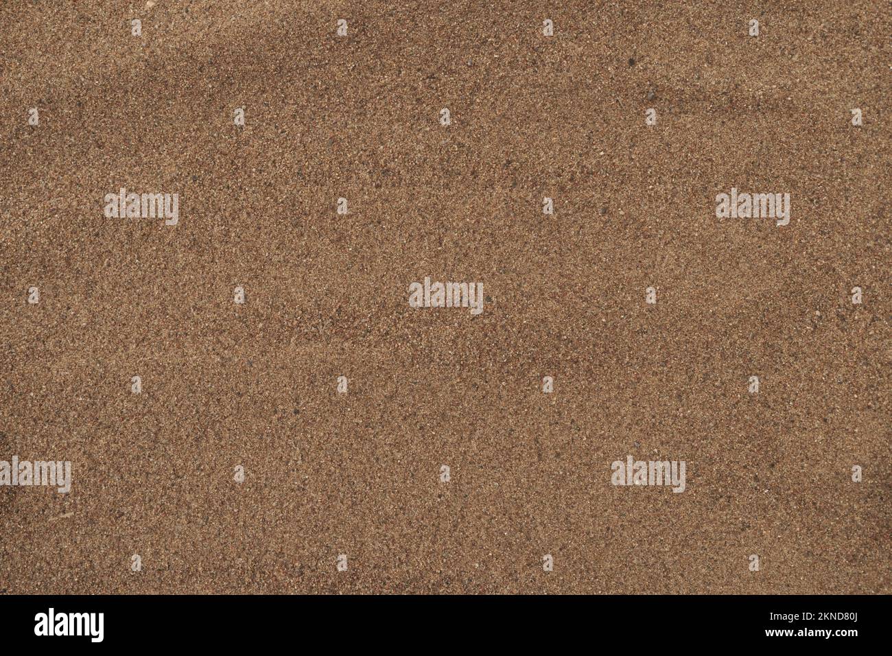 Sand beach background top view, shallow focus Stock Photo - Alamy