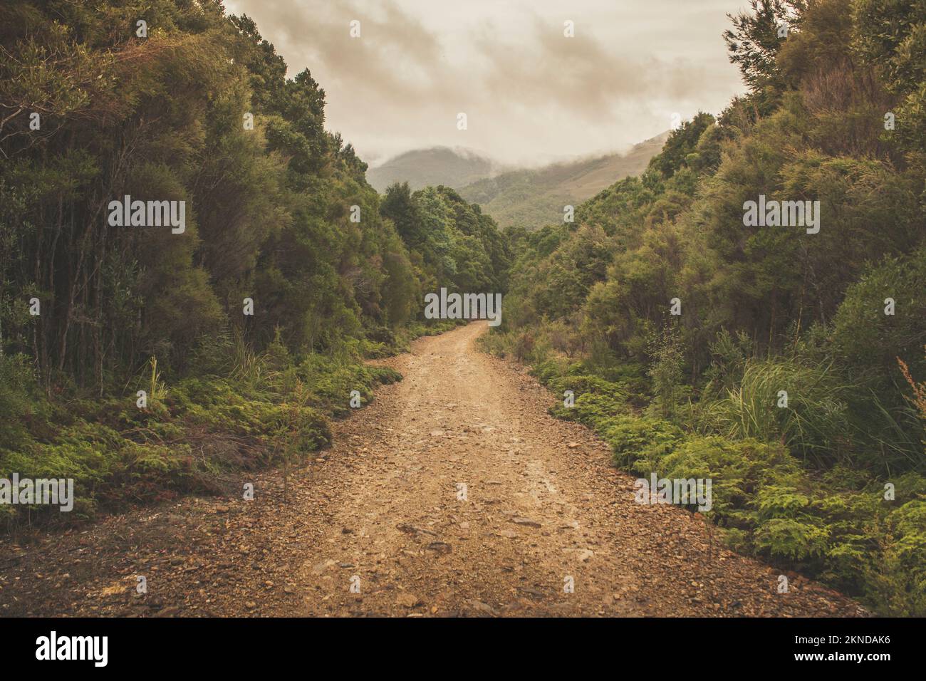 Rosebery park path hi-res stock photography and images - Alamy