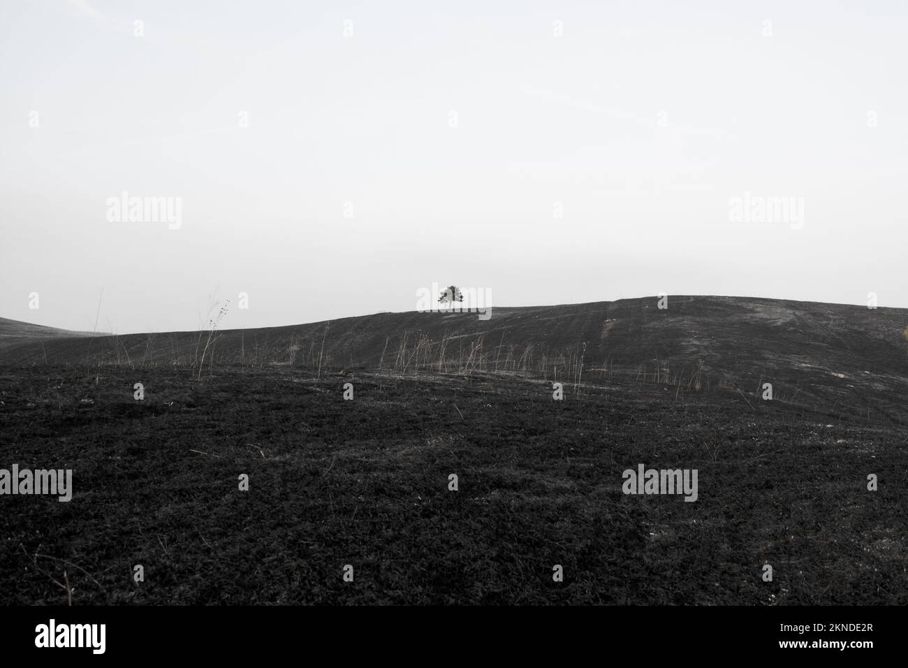 Empty hot spring hi-res stock photography and images - Alamy