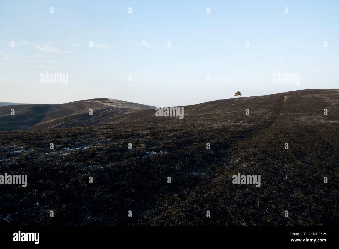 Empty hot spring hi-res stock photography and images - Alamy