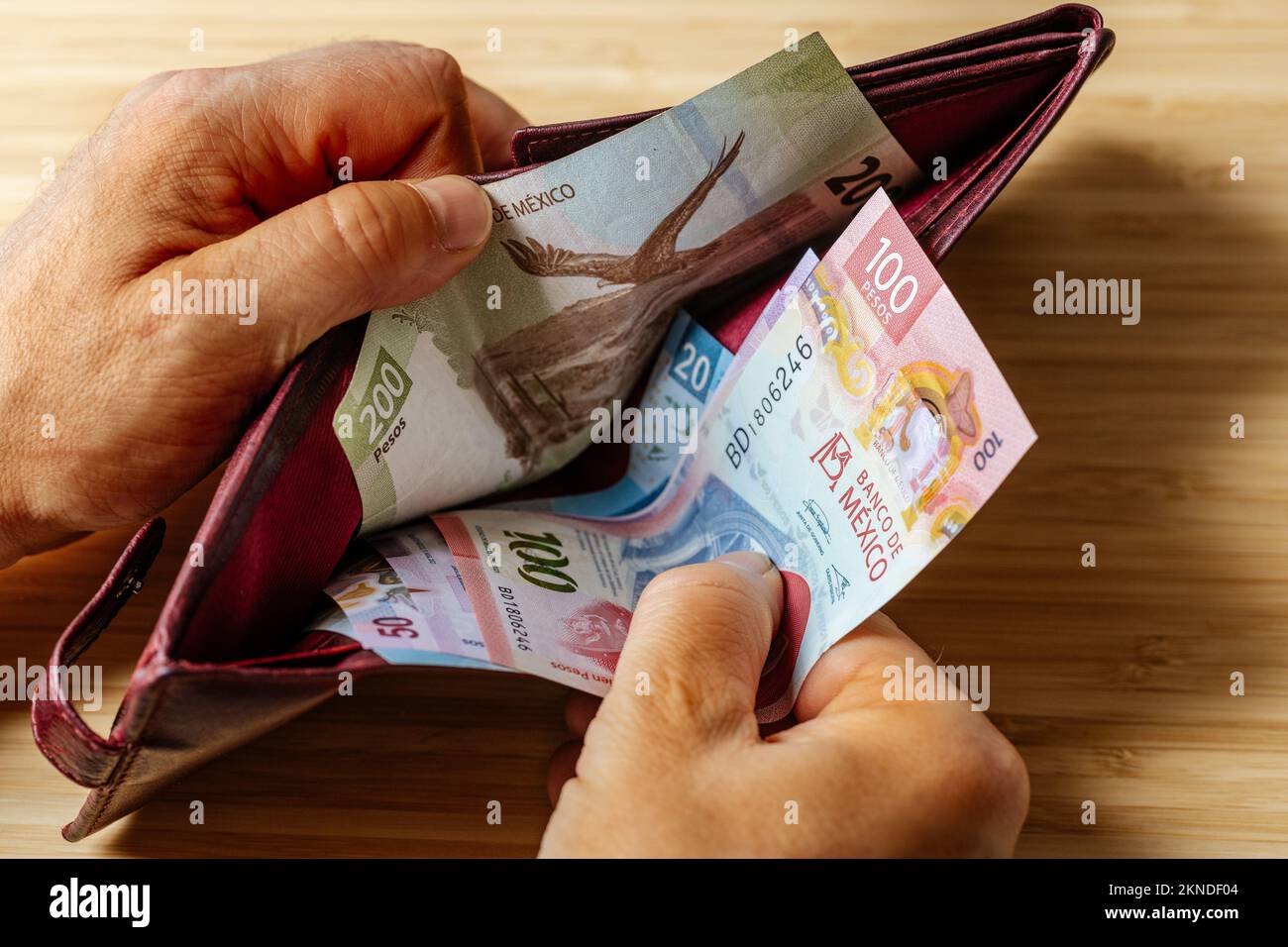 Hand takes money out of wallet, Mexico Peso banknotes, Concept, rising ...