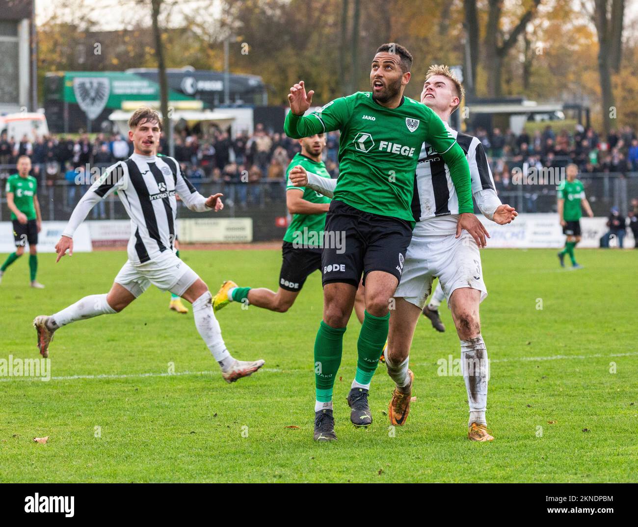 sports, football, Regional League West, 2022/2023, SG Wattenscheid 09 ...