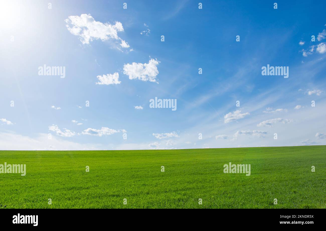 Empty clean grassy field and blue sky at sunny day Stock Photo - Alamy