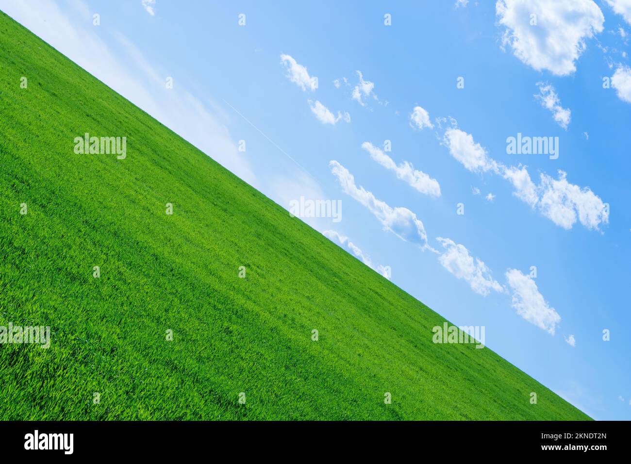 Empty clean grassy field and blue sky at sunny day Stock Photo - Alamy