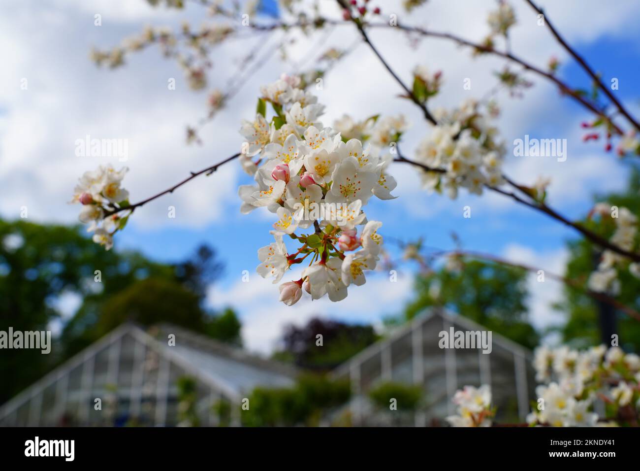 STOCKHOLM, SWEDEN -30 MAY 2022- View of the Rosendals Garden Tradgard ...