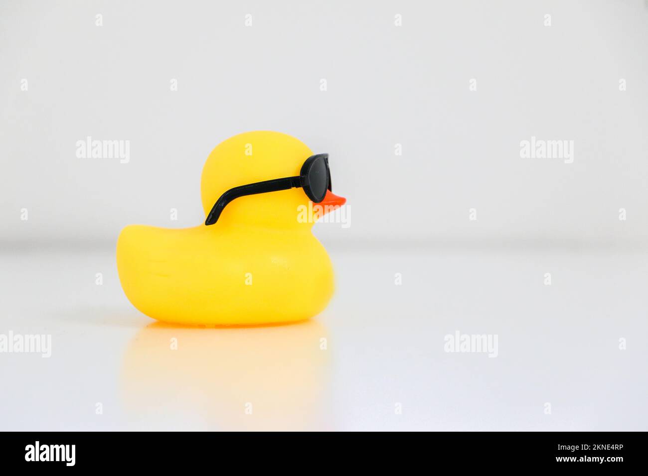 Cool yellow rubber duck wearing black sunglasses facing rightwards ...