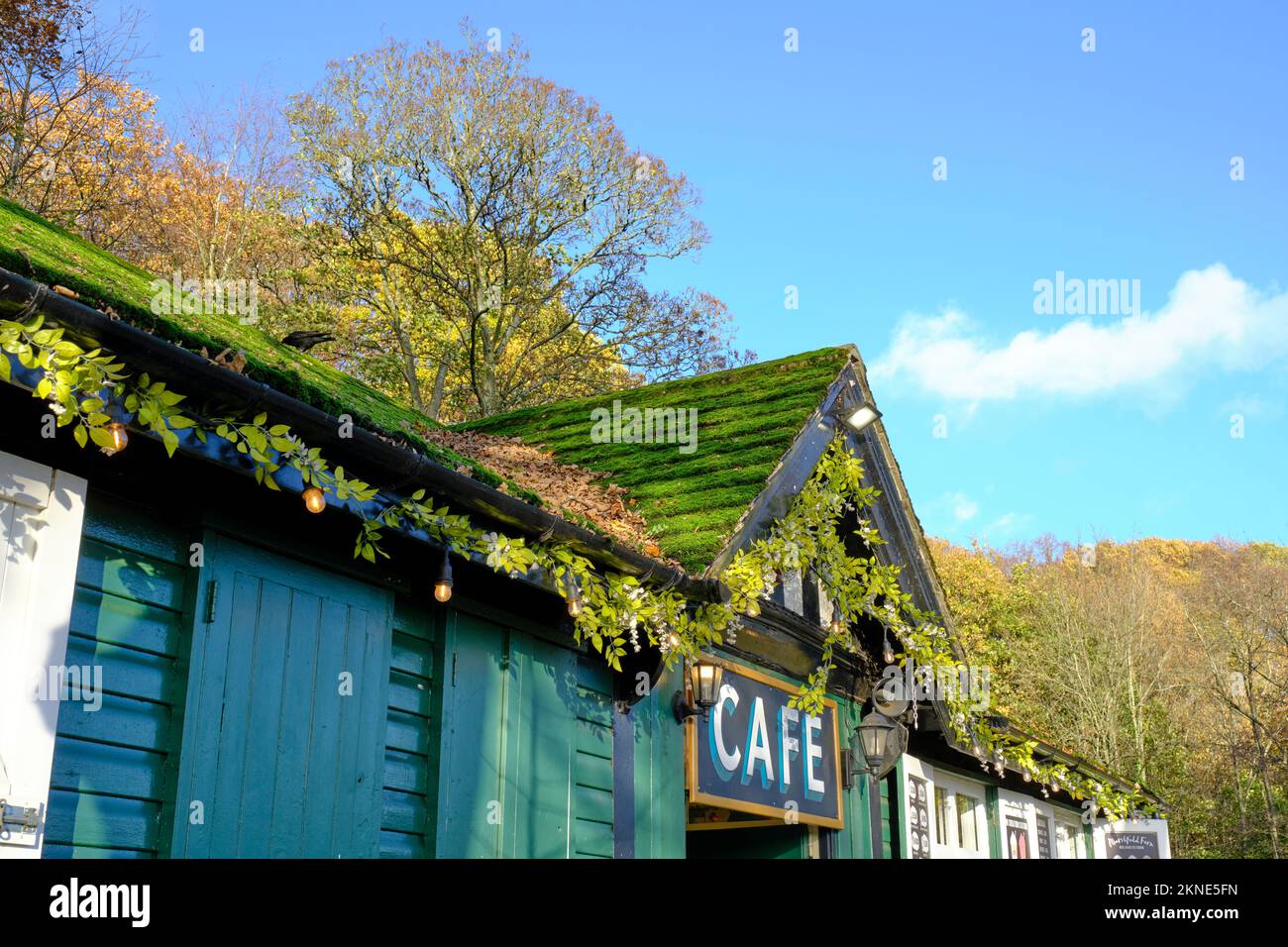The rooftop of the cafe in Sheffield's Endcliffe Park. A green mossy ...
