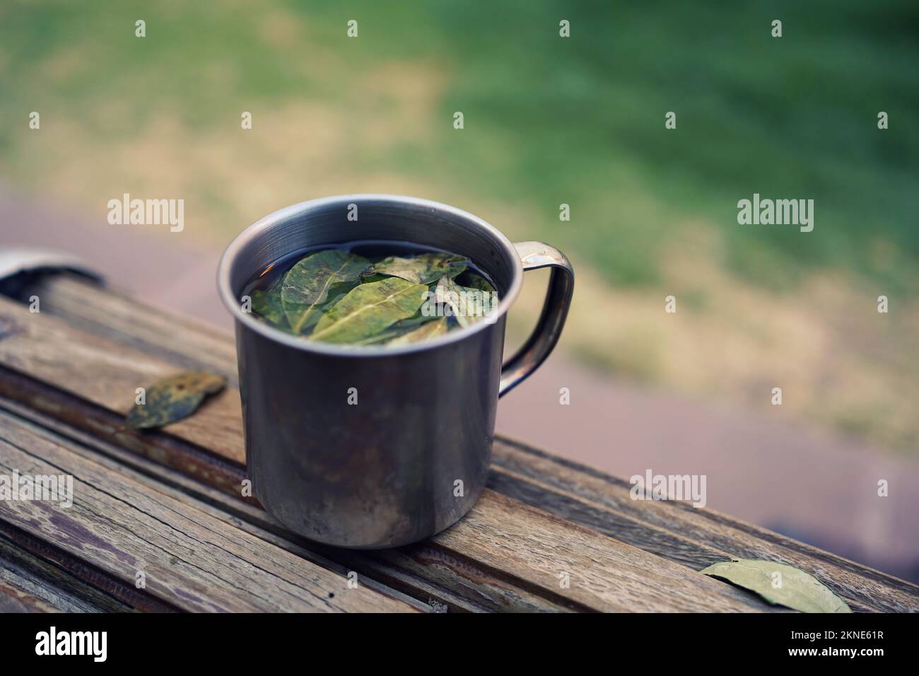 cup of coca tea (mate de coca Stock Photo - Alamy