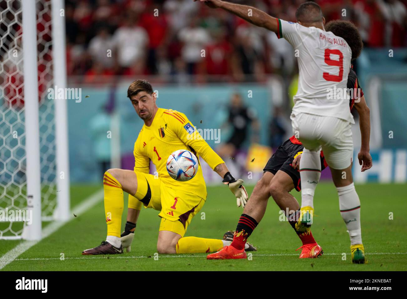 Doha, Catar. 27th Nov, 2022. Thibaut Courtois of Belgium and Abderrazak ...