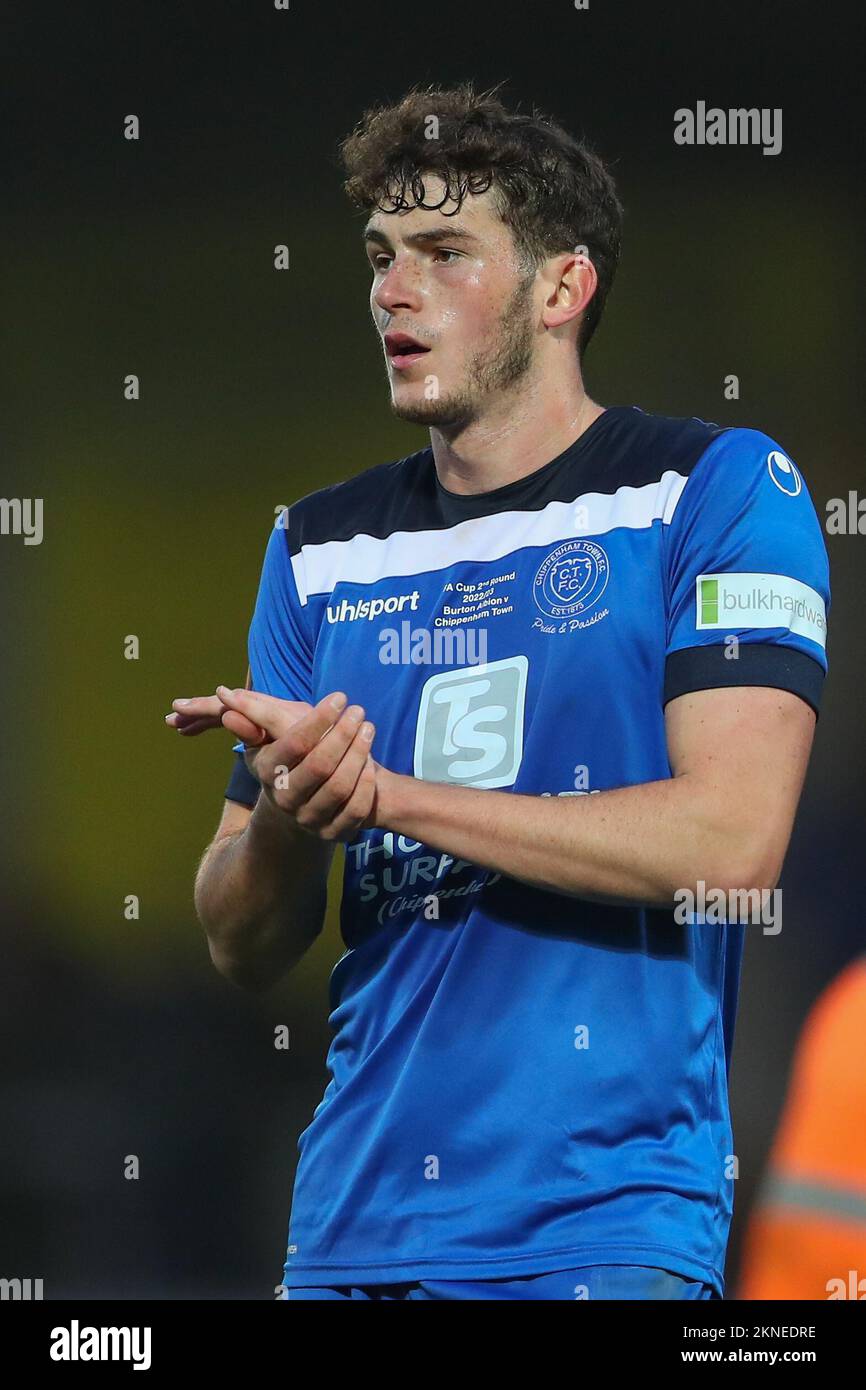 Will tizard hi-res stock photography and images - Alamy