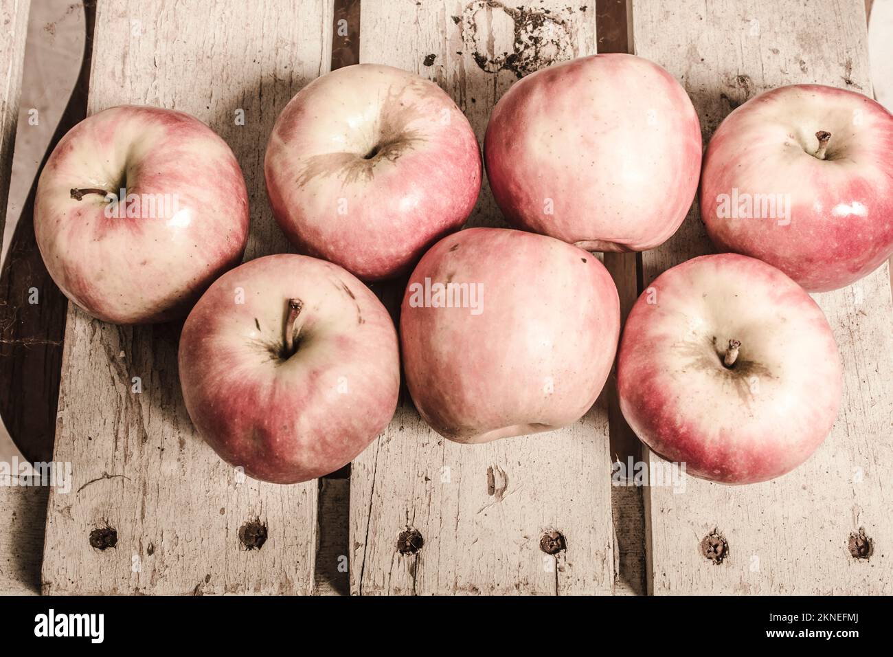 Crate of imperfect apples on retro wood planks. Weathered fruits Stock ...