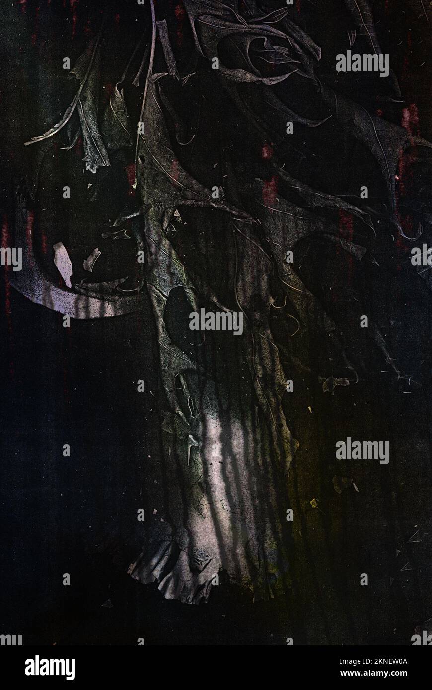 Dark art skull wilted hi-res stock photography and images - Alamy