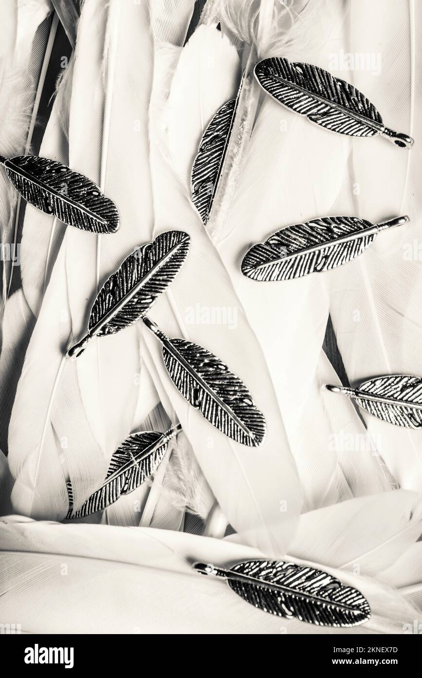 Black and white artwork on a mix of patterned feathers in natural and ...