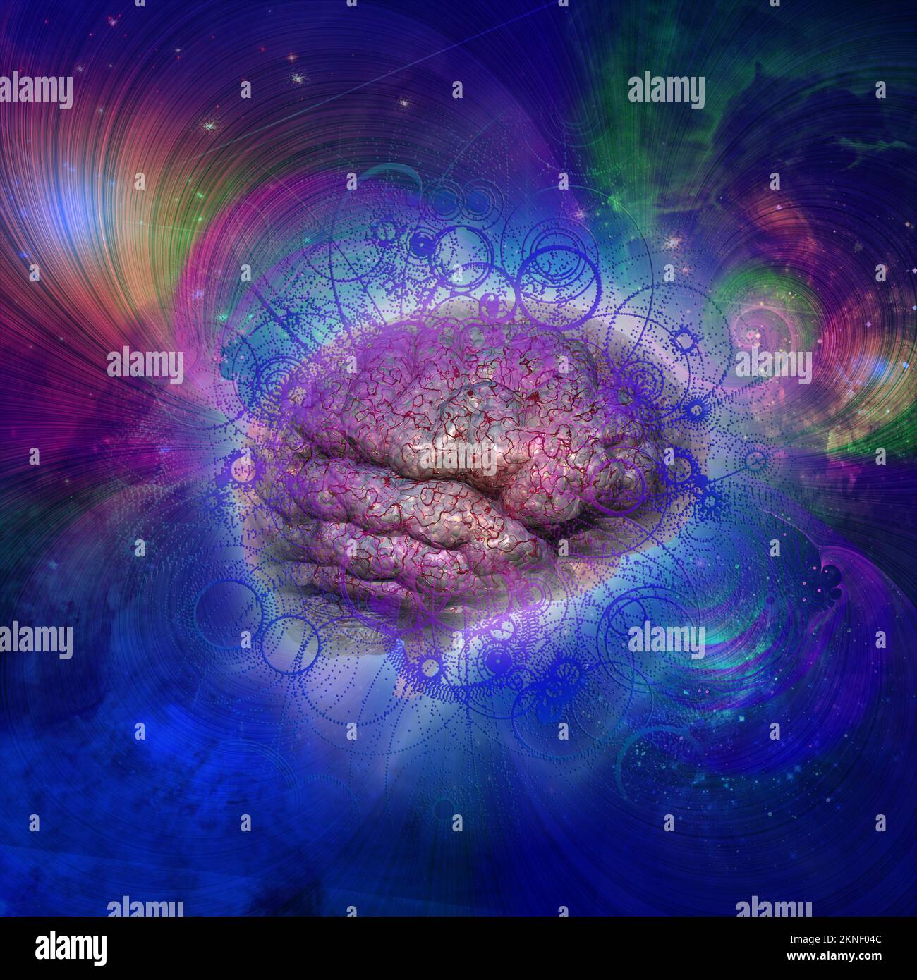 Artistic brain rendering hi-res stock photography and images - Alamy