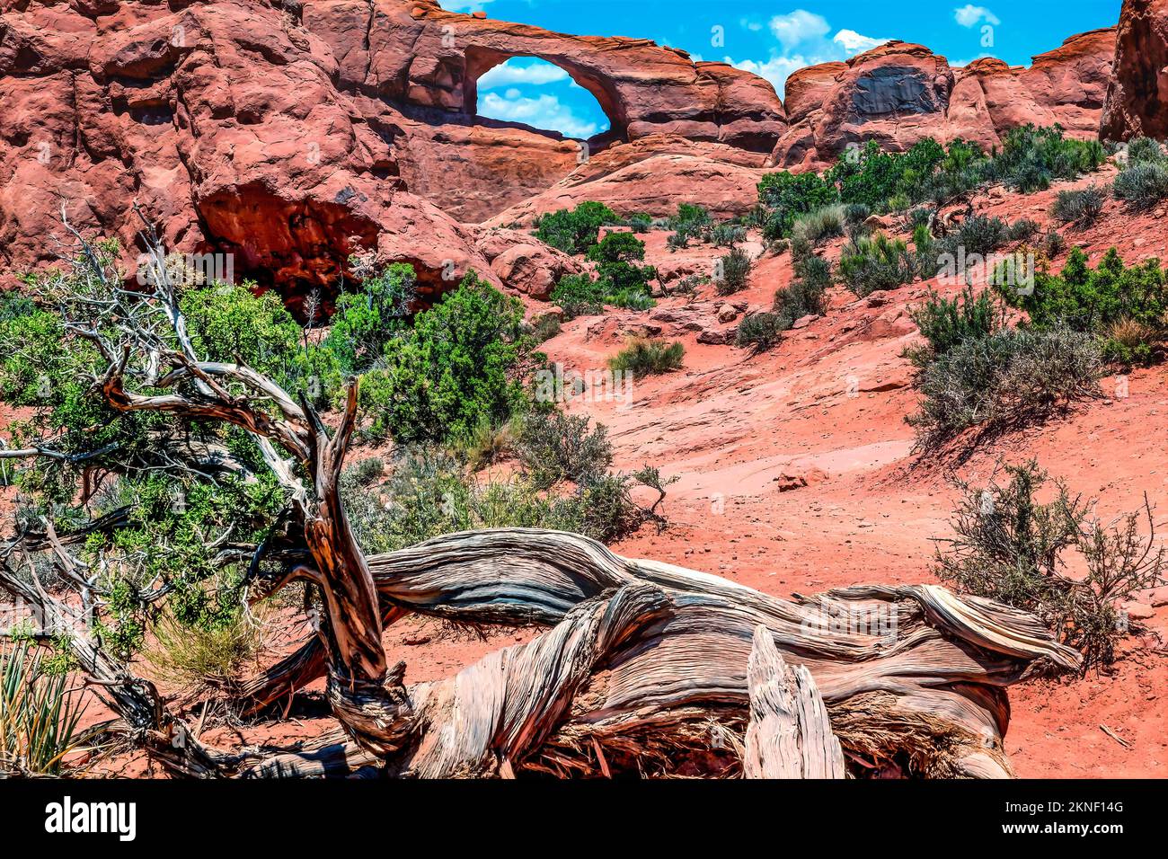 Red Brown Skyline Arch Rock Canyon Arches National Park Moab Utah USA ...
