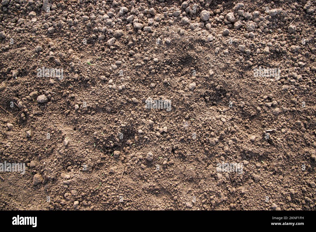 Brown crushed soil peat field texture may be used as a background ...