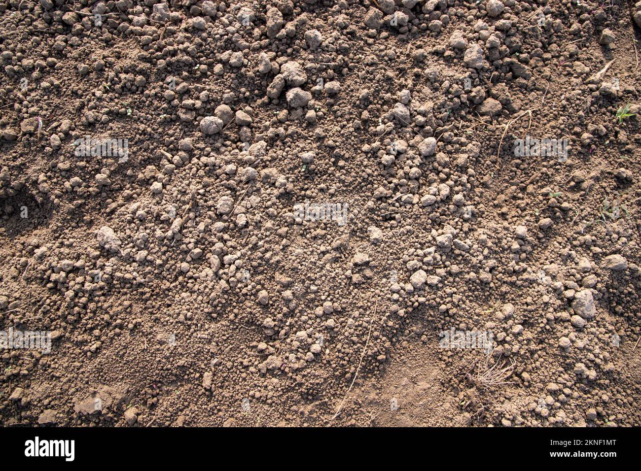 Brown crushed soil peat field texture may be used as a background ...