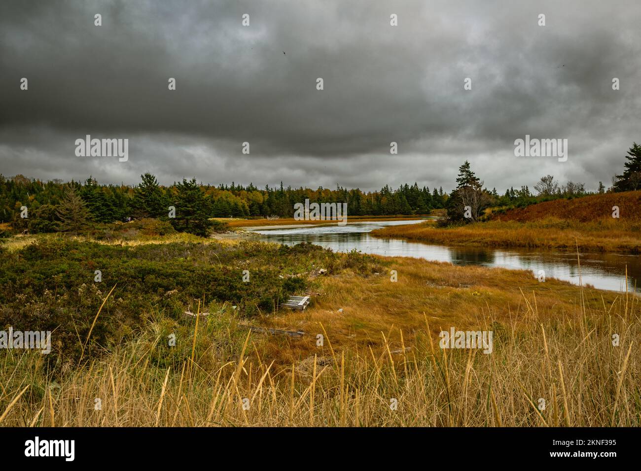 Hangmans Marsh leading into McNabs Pond on McNabs Island, Halifax,Nova ...