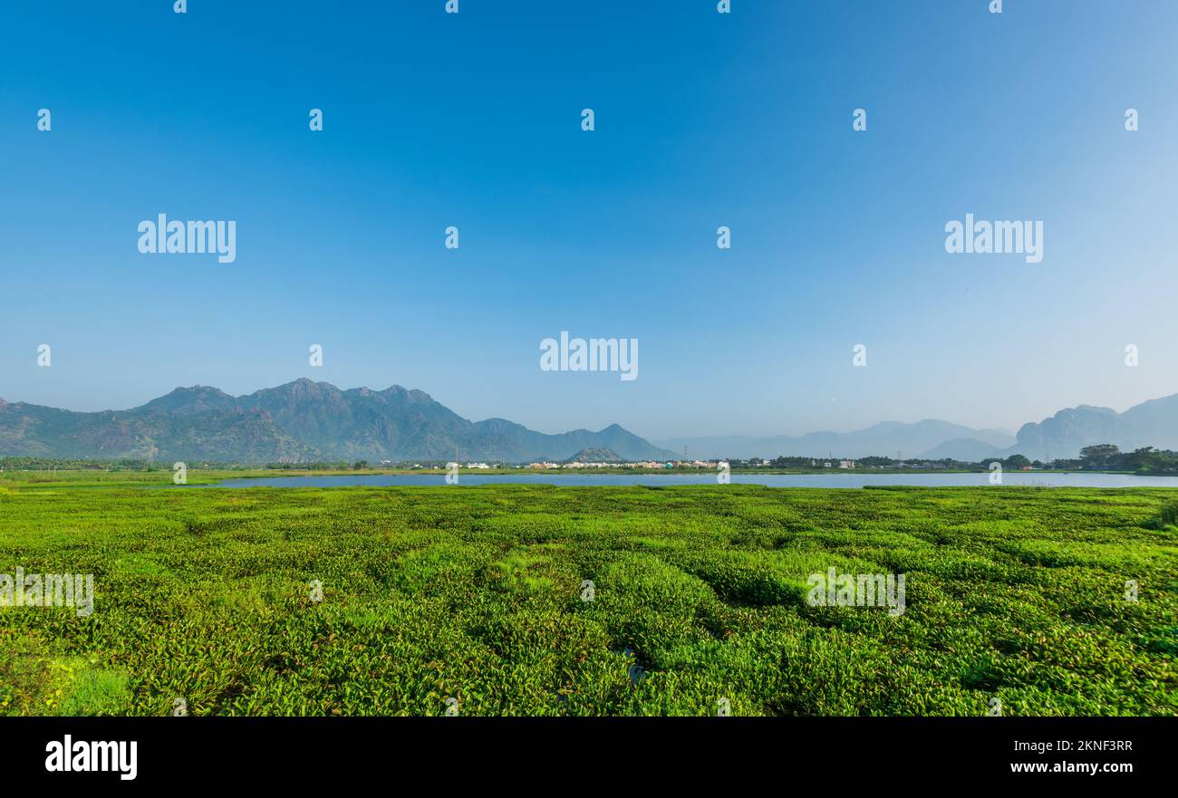 Town of nagercoil hi-res stock photography and images - Alamy