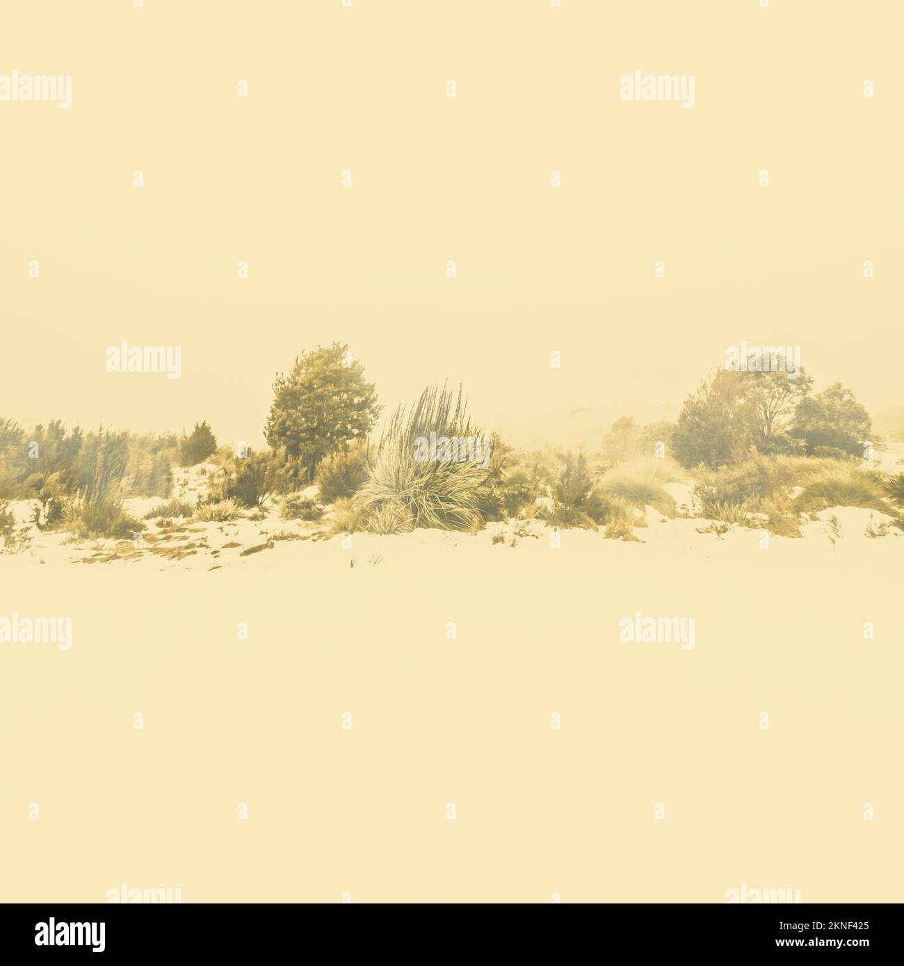 Snow scenes australia hi-res stock photography and images - Alamy