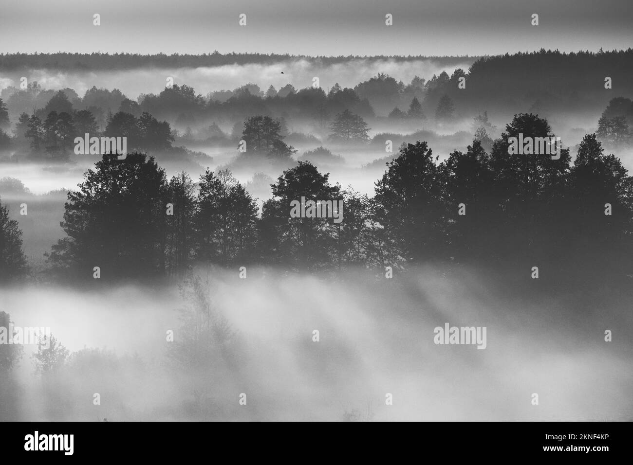 Morning freshness Black and White Stock Photos & Images - Alamy