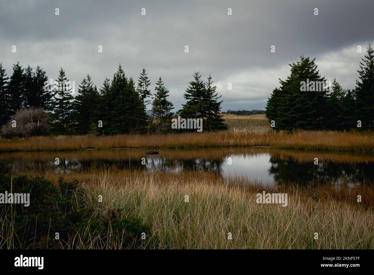 Hangmans Marsh leading into McNabs Pond on McNabs Island, Halifax,Nova ...