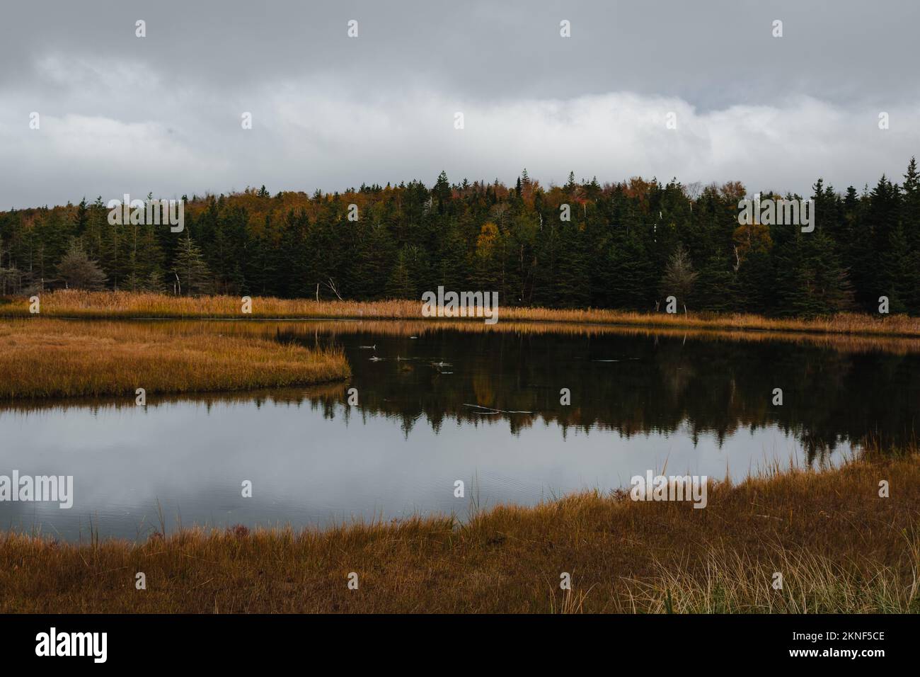 McNabs Pond on McNabs Island, Halifax, Nova Scotia, Canada Stock Photo ...