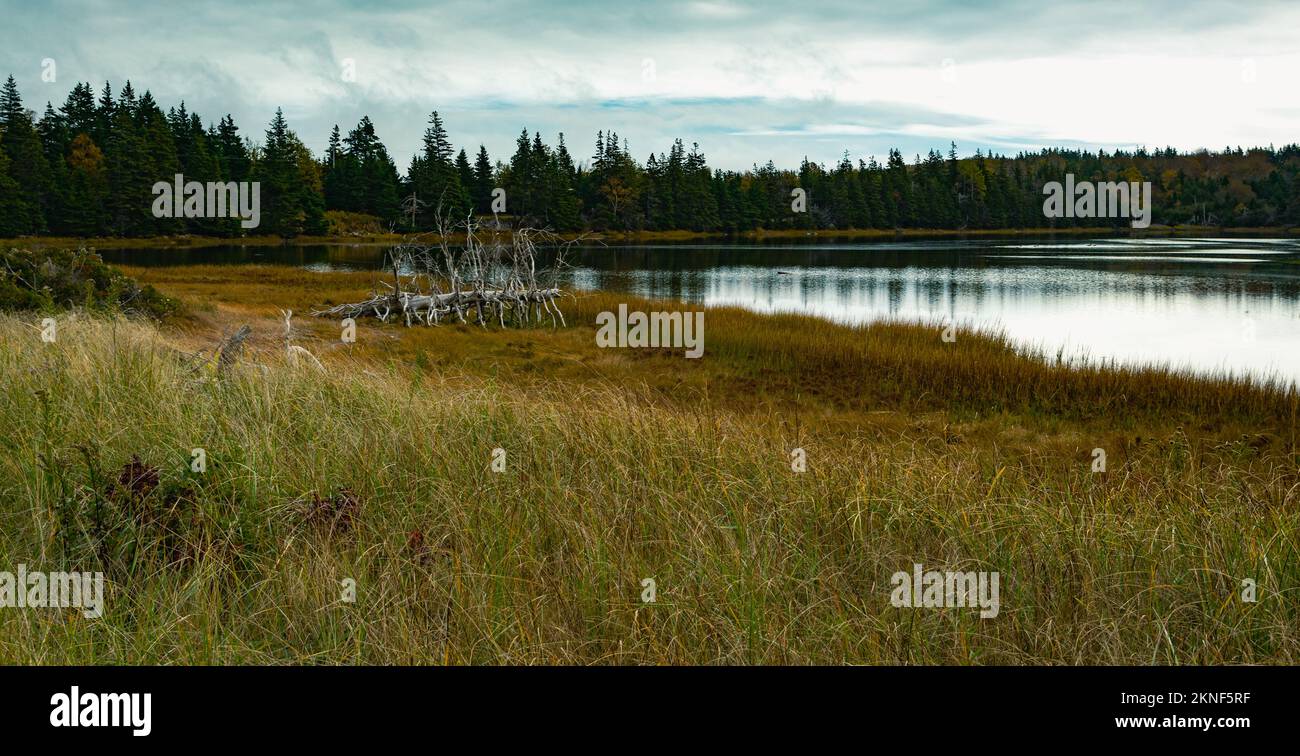 McNabs Pond on McNabs Island, Halifax, Nova Scotia, Canada Stock Photo ...