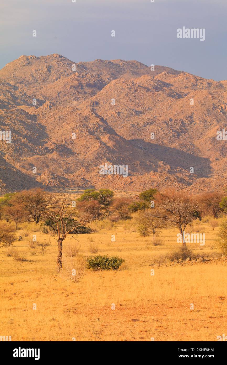 Namibian landscape. African savannah during a hot day.Red ground ...
