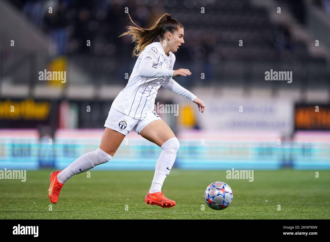 Schaffhausen, Switzerland. 24th Nov, 2022. 24.11.2022, Schaffhausen ...