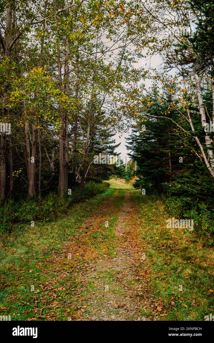 Nova scotia department of natural resources hi-res stock photography ...