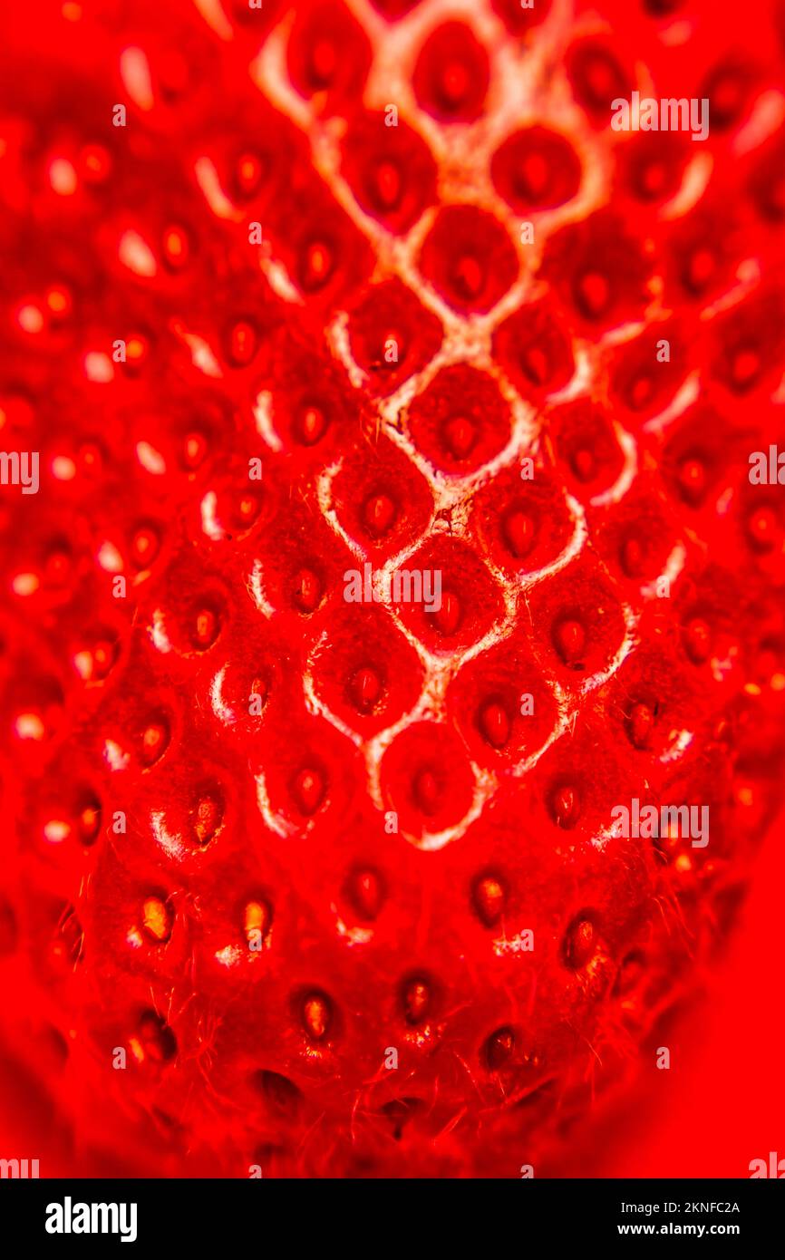 Fleshy receptacle hi-res stock photography and images - Alamy