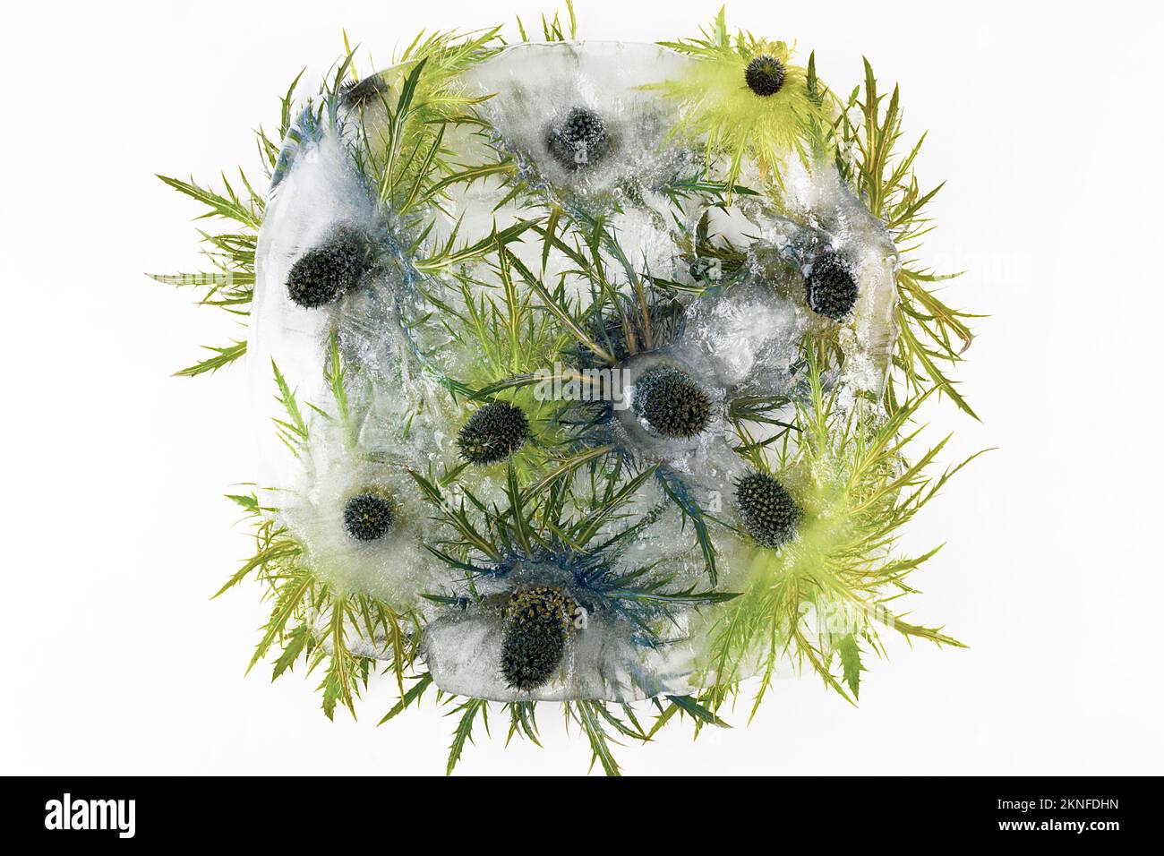 Frost texture frozen ice Cut Out Stock Images & Pictures - Alamy