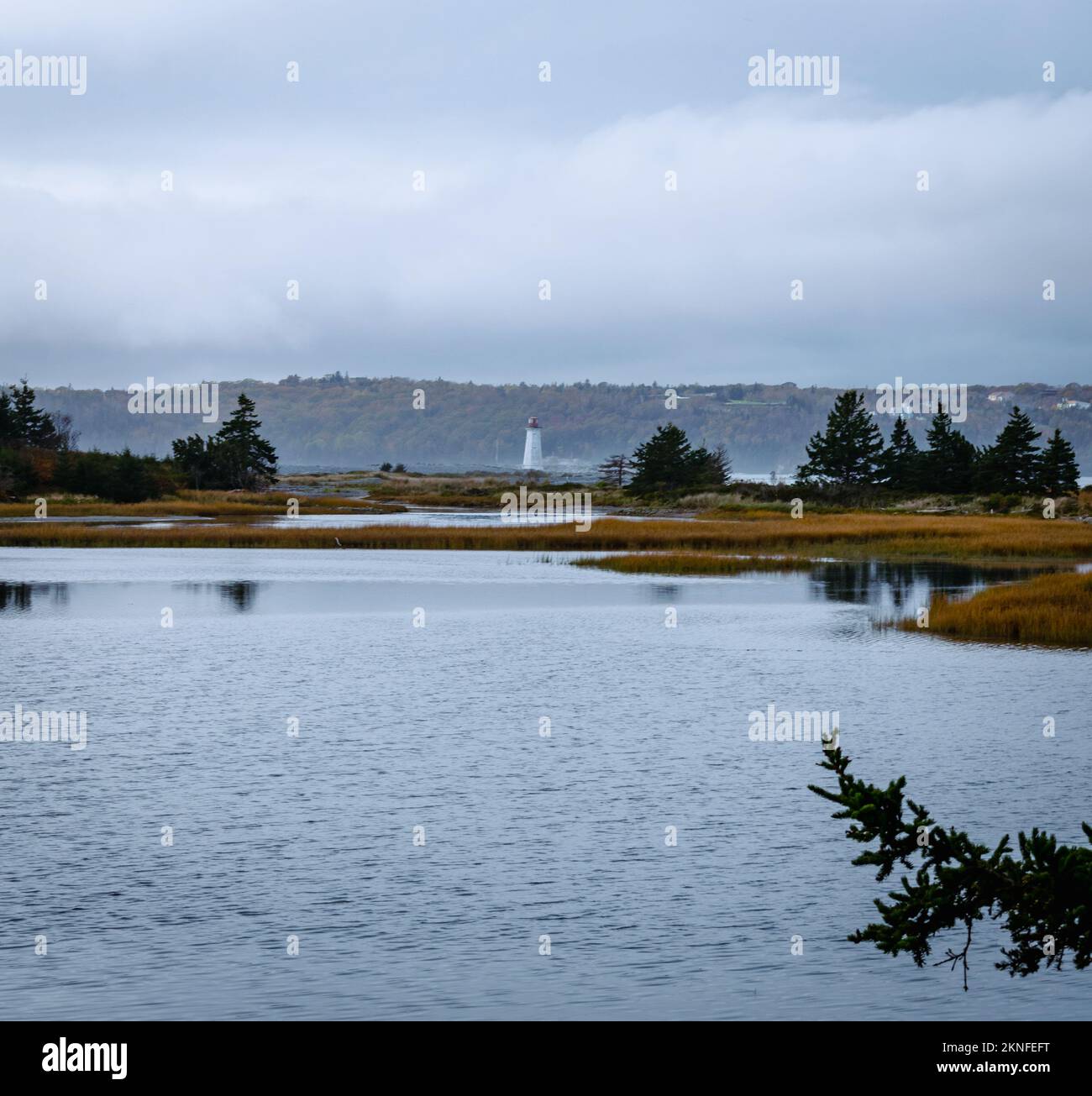 looking at the Lighthouse on Maughers beach from McNabs Pond on McNabs ...