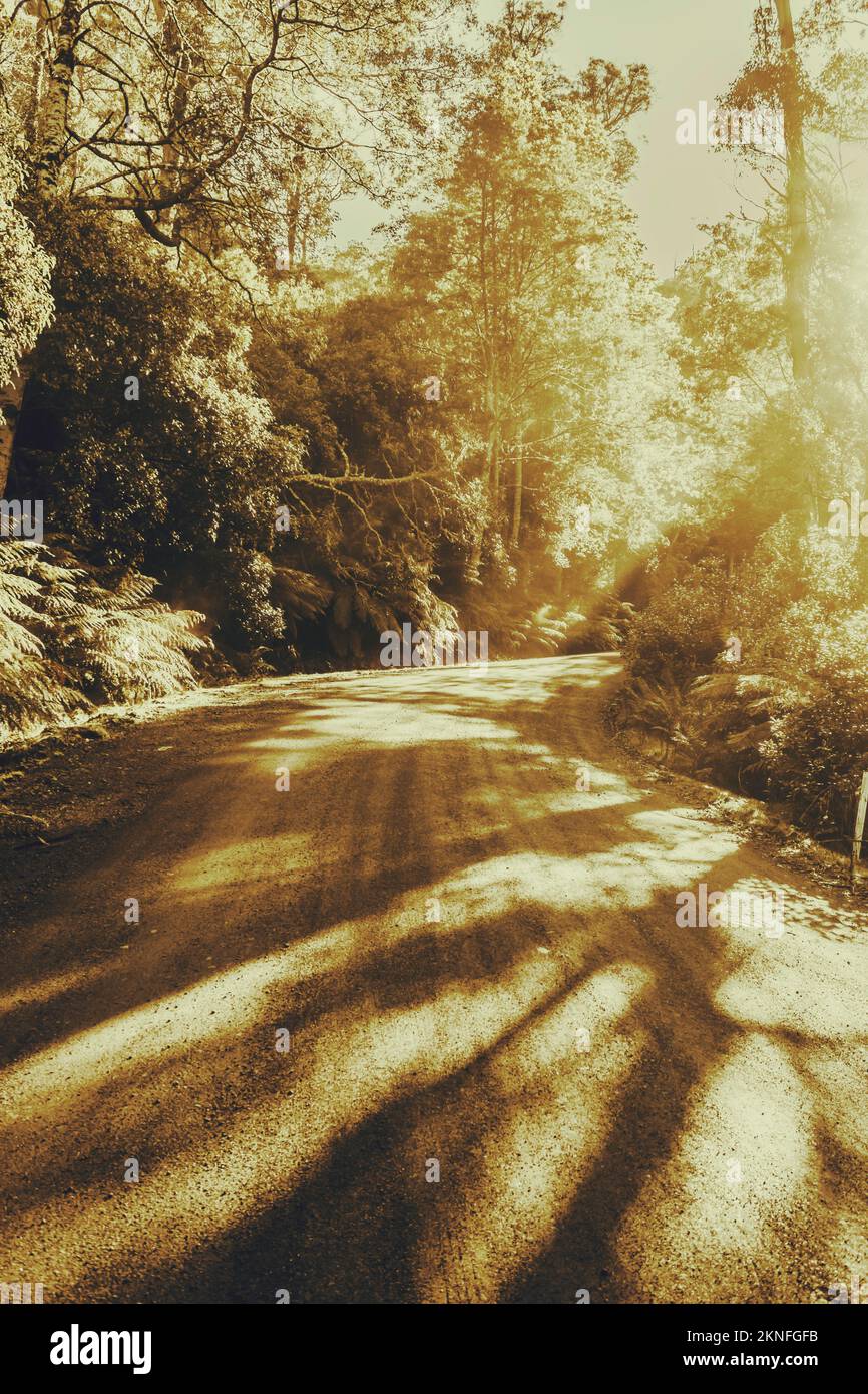 Dirt path through the australian bush hi-res stock photography and ...