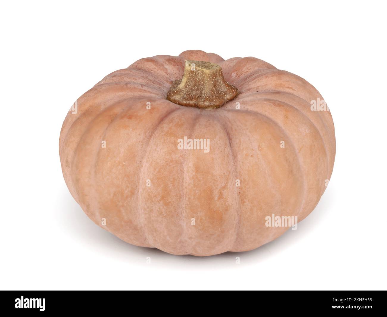 Nutmeg pumpkin front view, squash isolated on white background Stock ...