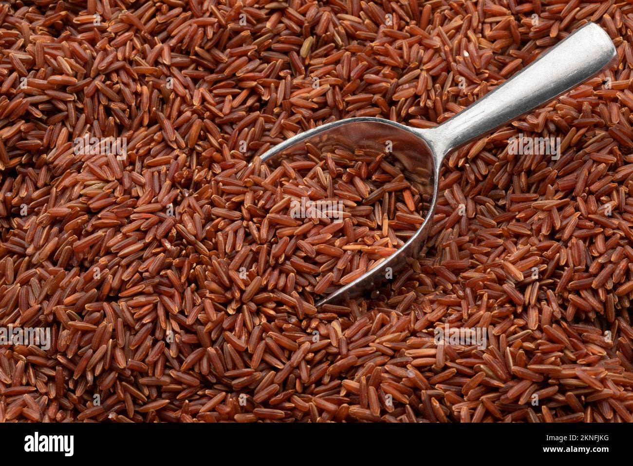 Organic red rice full frame and a metal scoop close up full frame as ...