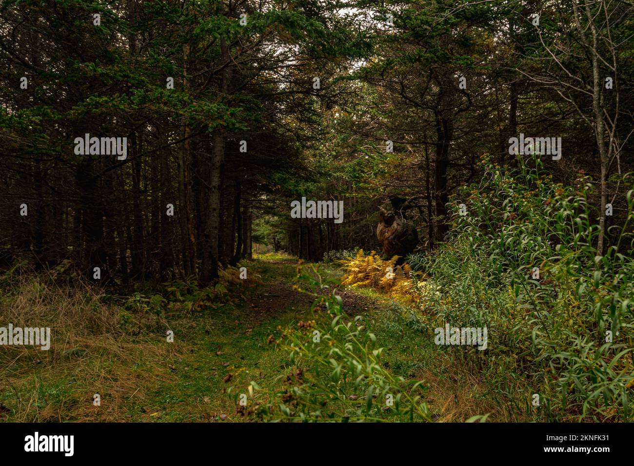 Colin stewart trail hi-res stock photography and images - Alamy