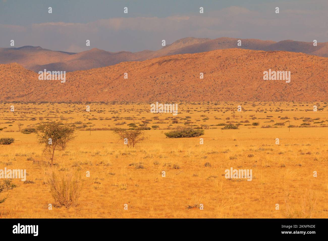 Namibian landscape. African savannah during a hot day.Red ground ...
