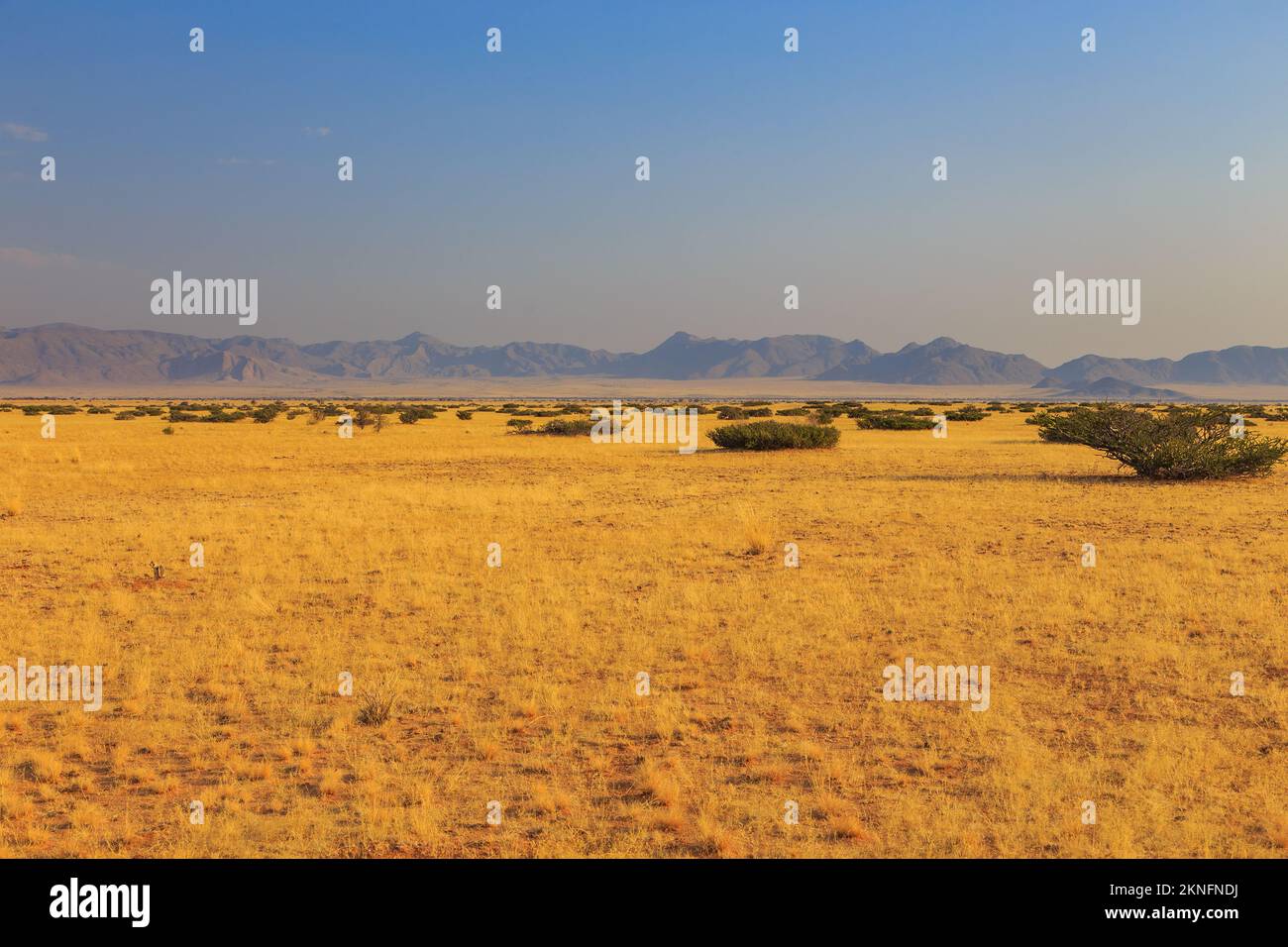 Namibian landscape. African savannah during a hot day.Red ground ...