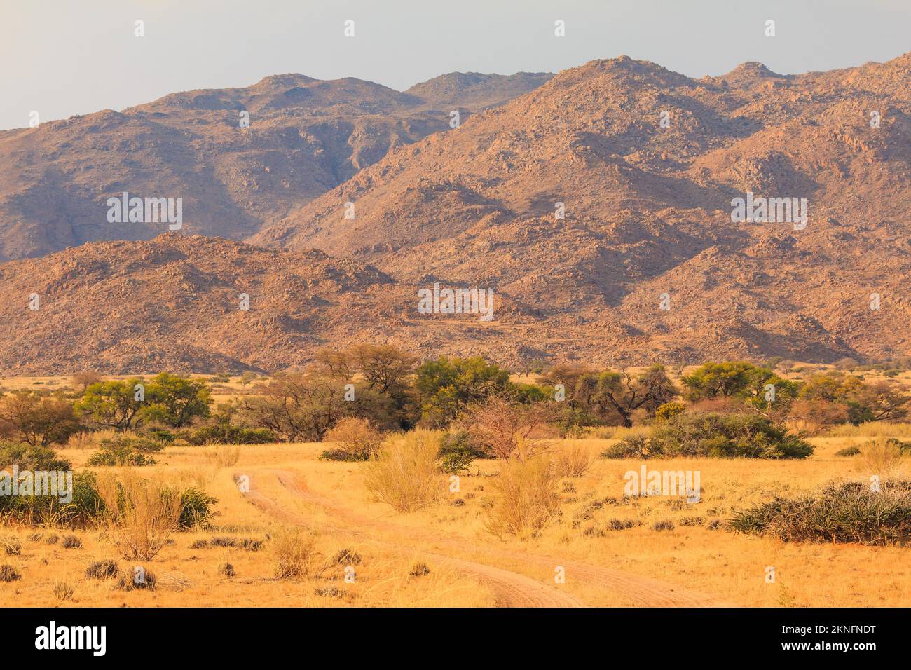 Namibian landscape. African savannah during a hot day.Red ground ...