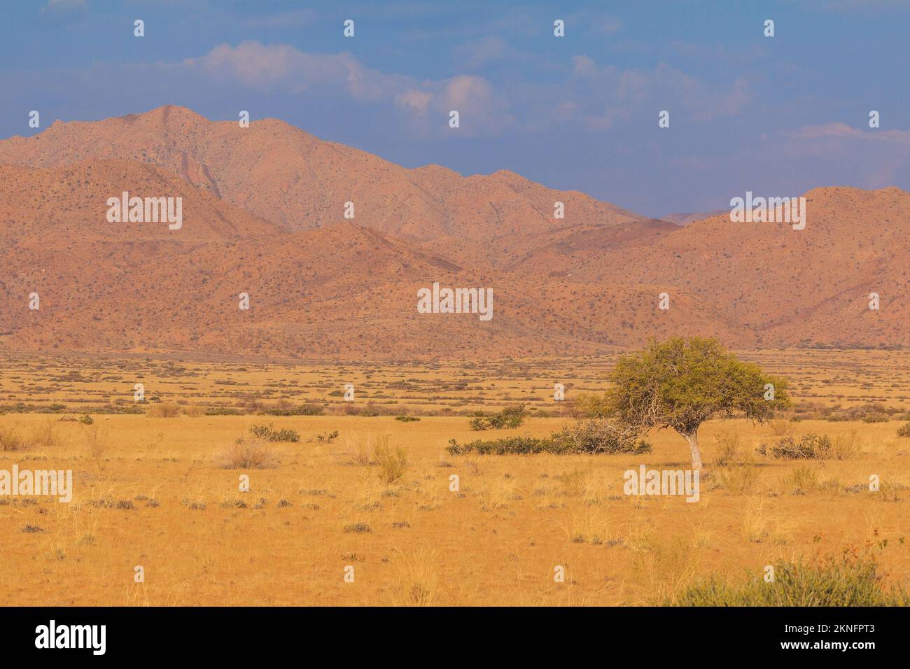 Namibian landscape. African savannah during a hot day.Red ground ...